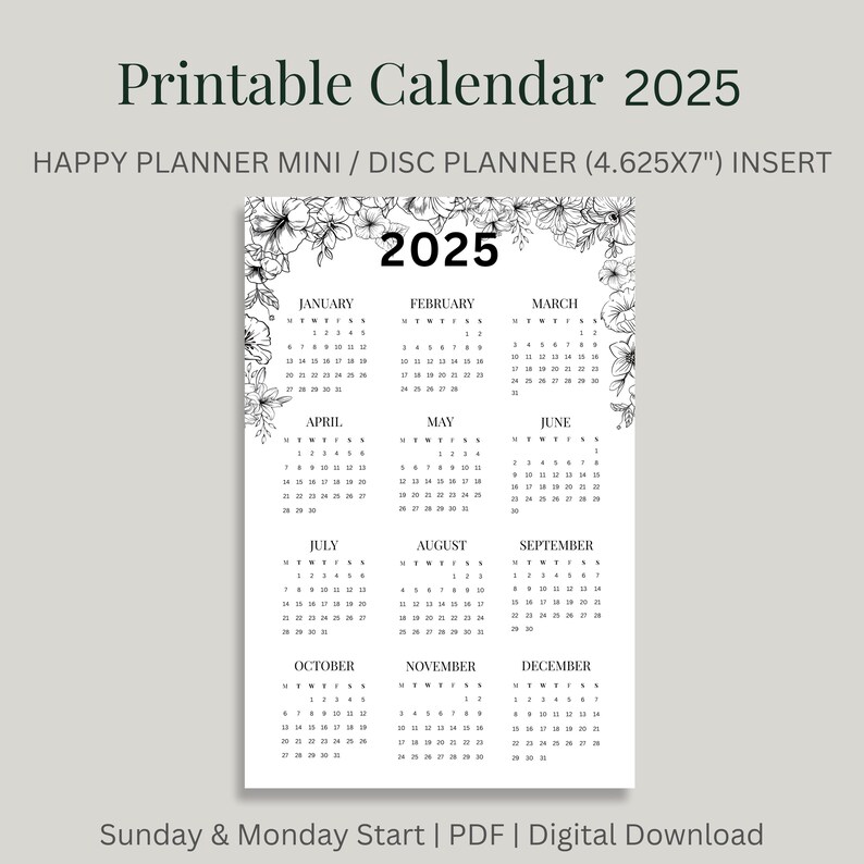 Printable Year at a Glance Calendar 2025 Mini Happy Planner Disc ...
