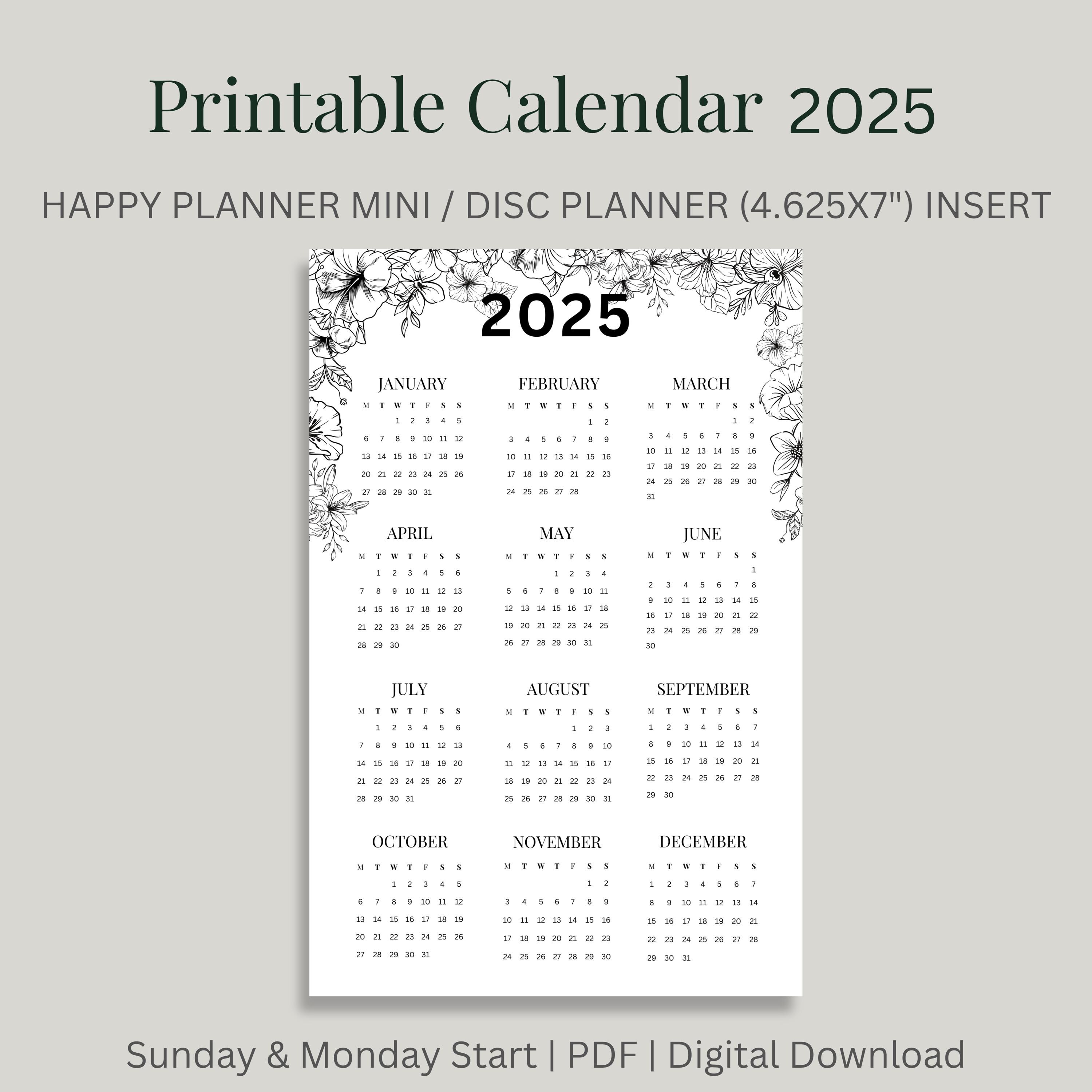Printable Year at a Glance Calendar 2025 Mini Happy Planner Disc ...