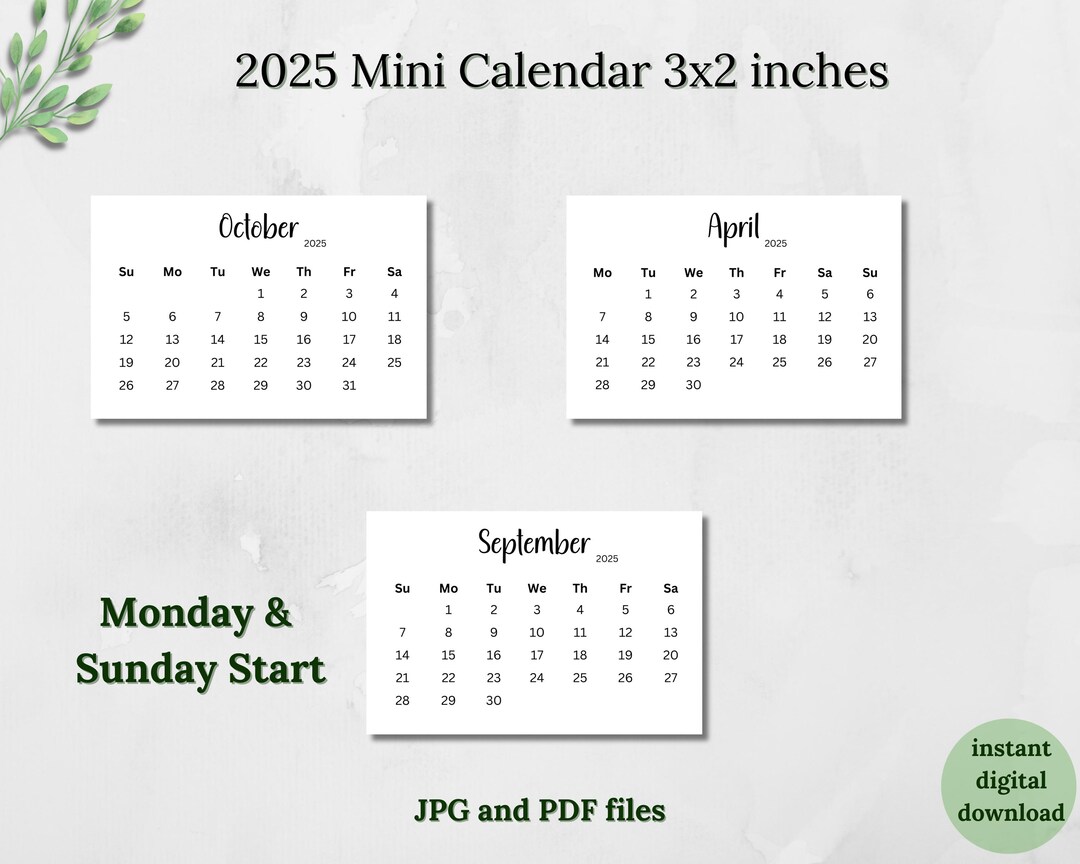Printable 2025 Mini Calendar 3x2 Minimalist Calendar Pocket Calendar ...