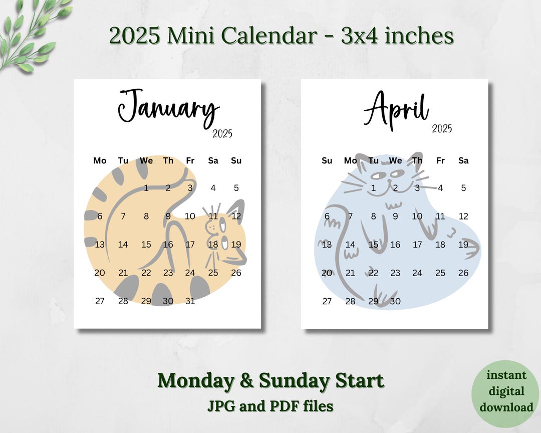 Printable Cat Calendar 2025 3x4 Mini Calendar Desk Calendar Planner ...