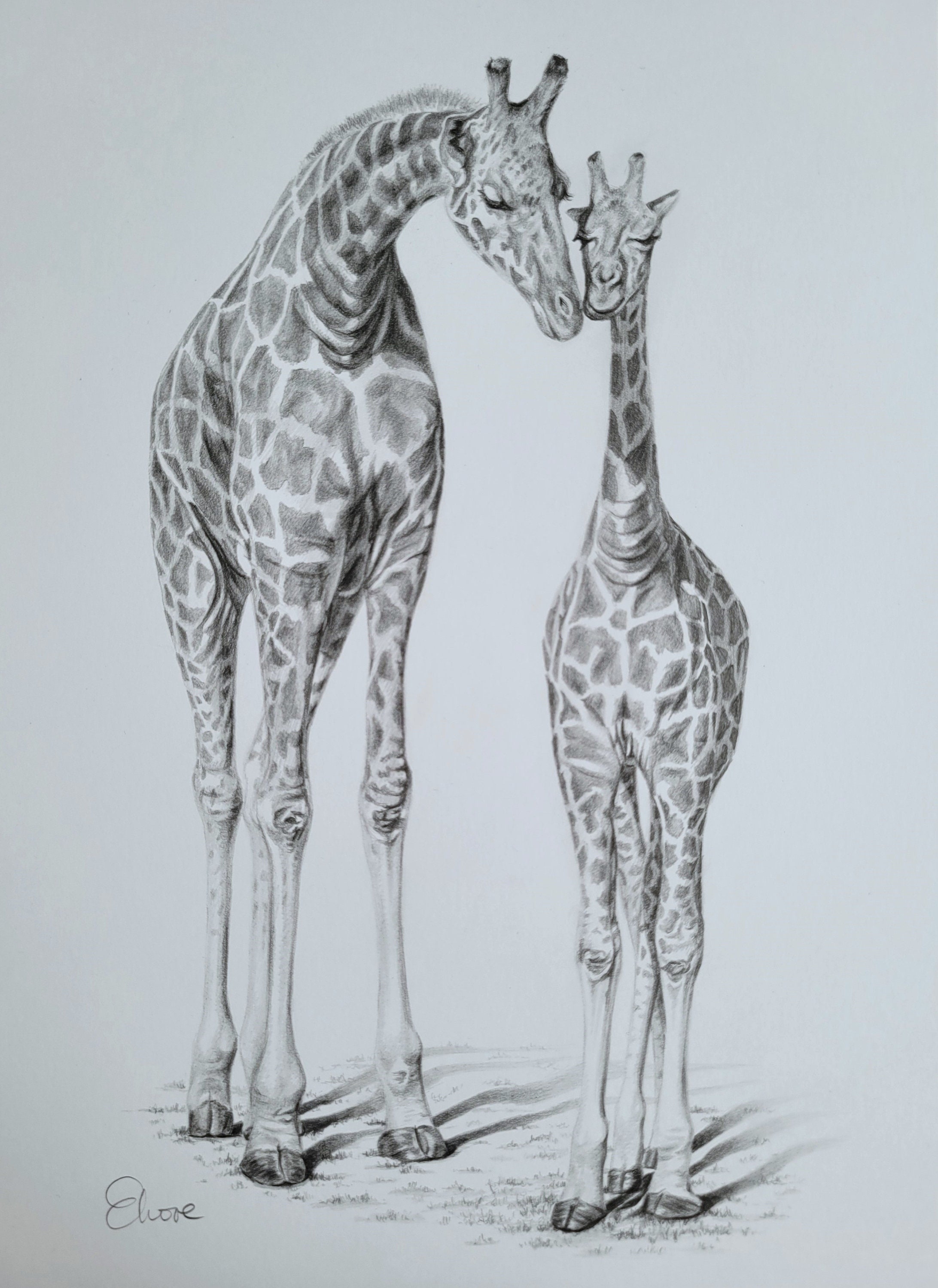GIRAFFES, Original A4 Pencil Drawing, Unframed, Mother and Child, Art ...