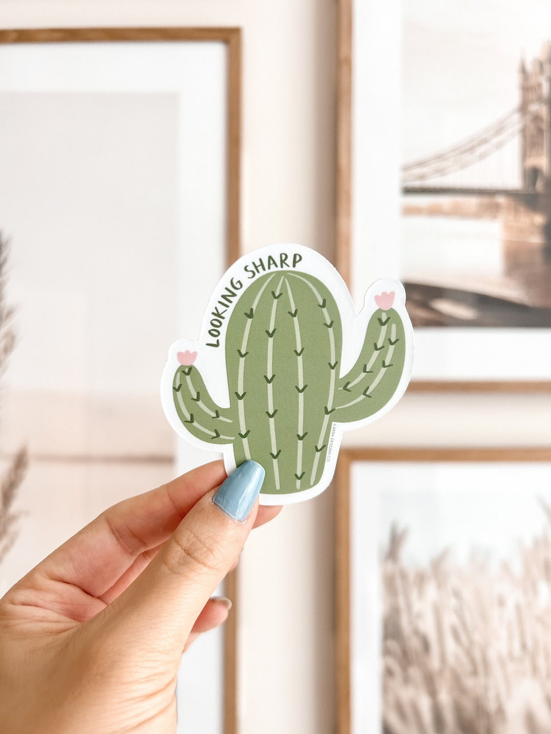 Looking Sharp Cactus Vinyl Sticker | Cute Vinyl Sticker, Waterproof ...