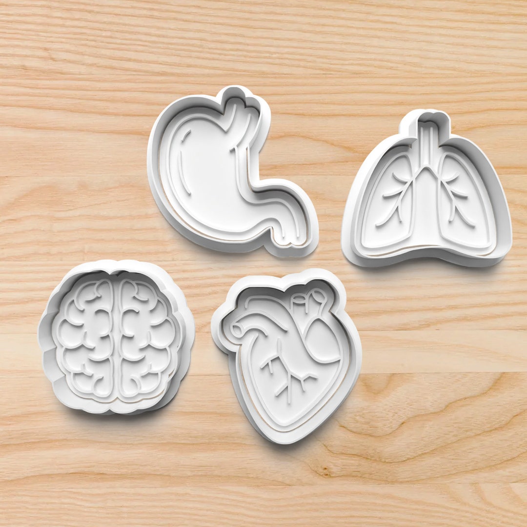 Anatomy Cookie Cutters: Human Organ Set, Medical Theme - Etsy