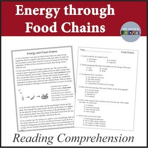 Food Chains Ecology Reading Comprehension - Etsy