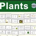 Plants and Parts of Plants Photosynthesis Task Cards - Etsy