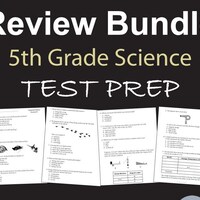 Food Chain Activity | 2nd, 3rd, 4th Grade Animal Ecosystem Food Chain ...