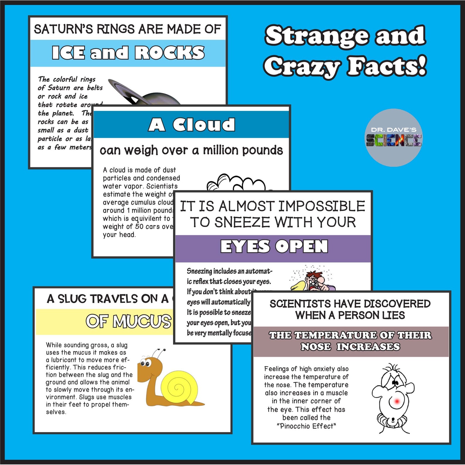 Fun Science Facts Posters Bulletin Board - Etsy