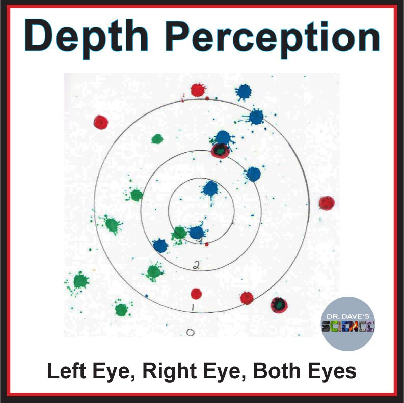 Nervous System Activity Bundle, Worksheets Neuroscience ...