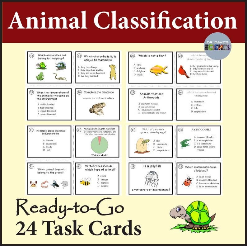 Animal Classification Invertebrates and Vertebrates Task Cards - Etsy