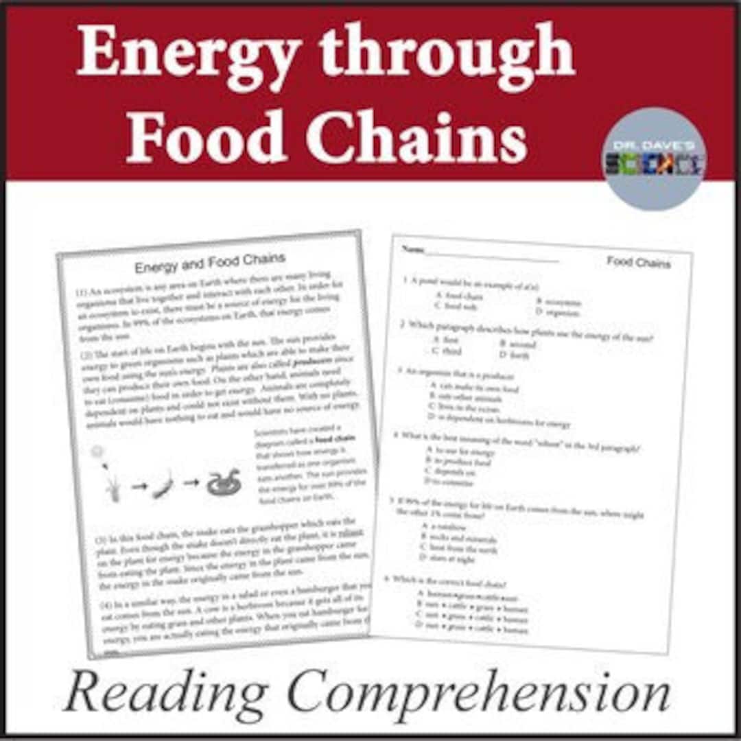 Food Chains Ecology Reading Comprehension - Etsy