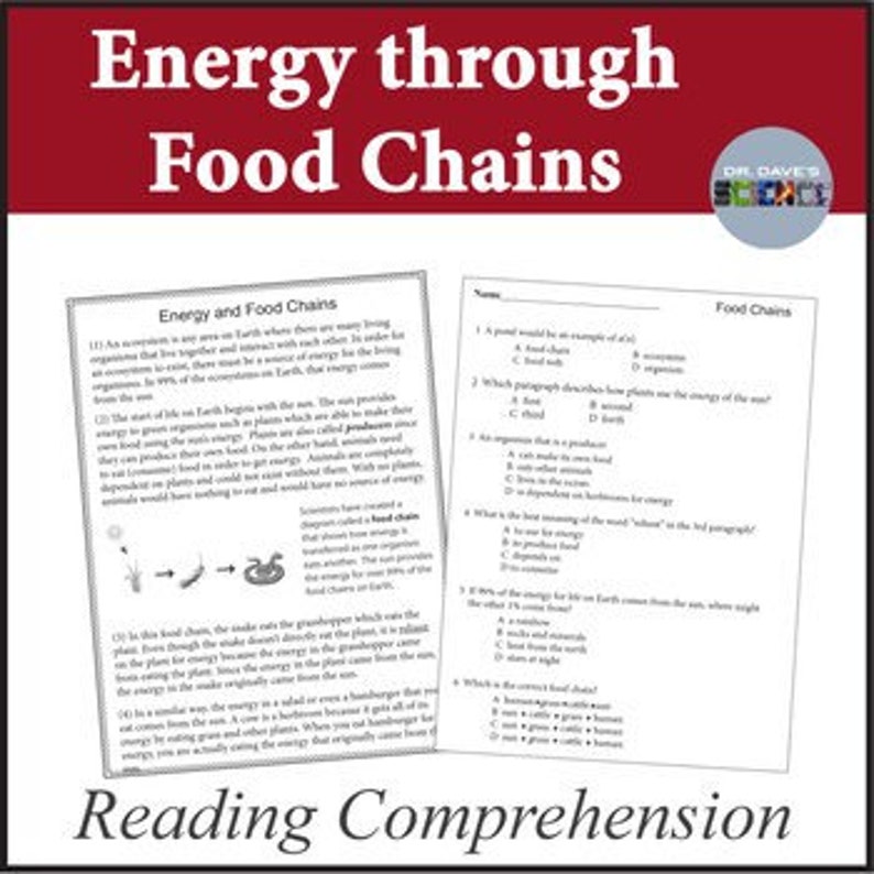 Food Chains Ecology Reading Comprehension - Etsy