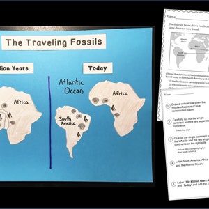 Fossils and Types of Fossils Activities - Etsy
