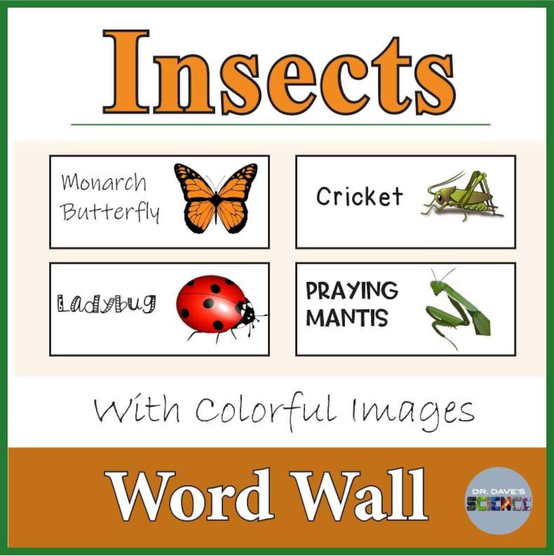 Insect Word Wall Insect Bulletin Board Science Classroom Décor - Etsy