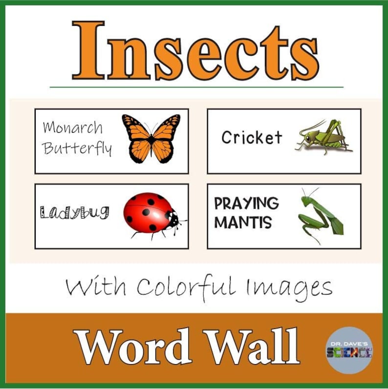 Insect Word Wall Insect Bulletin Board Science Classroom Décor - Etsy