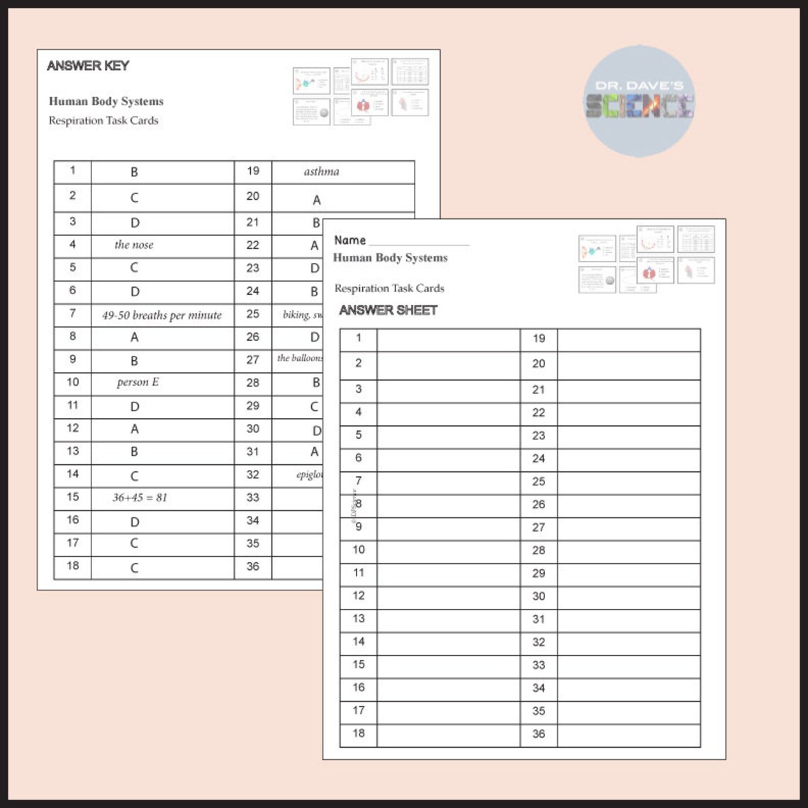 Respiratory System Task Cards, Human Body Systems, Lungs Anatomy - Etsy
