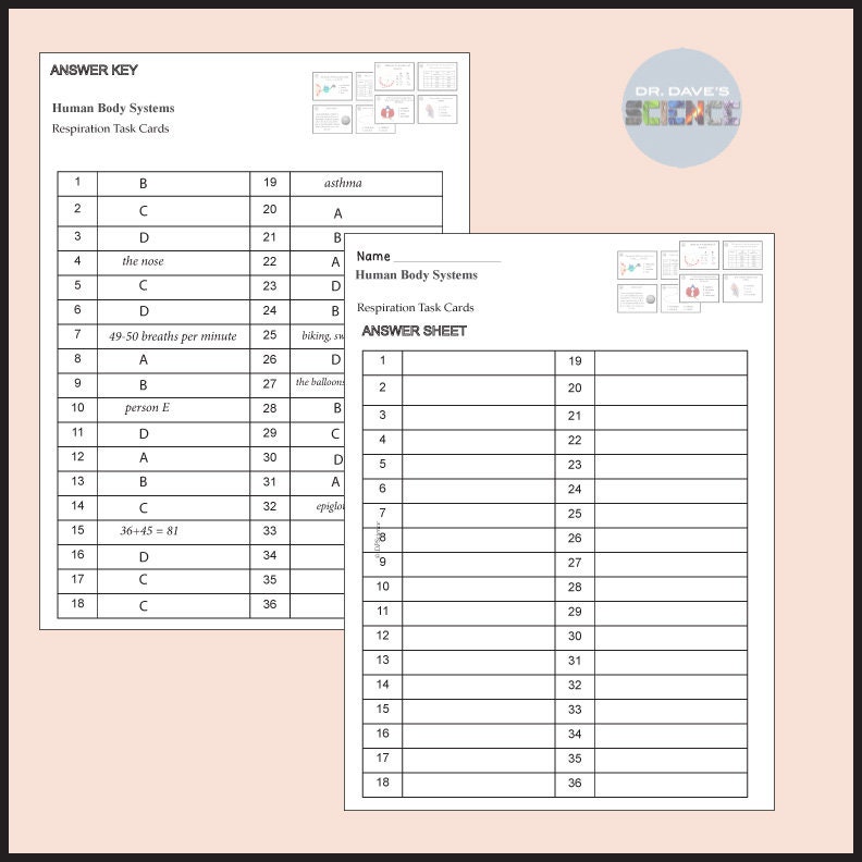 Respiratory System Task Cards, Human Body Systems, Lungs Anatomy - Etsy