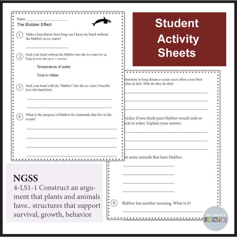 Blubber Experiment Reading Comprehension Arctic Animal Adaptations - Etsy