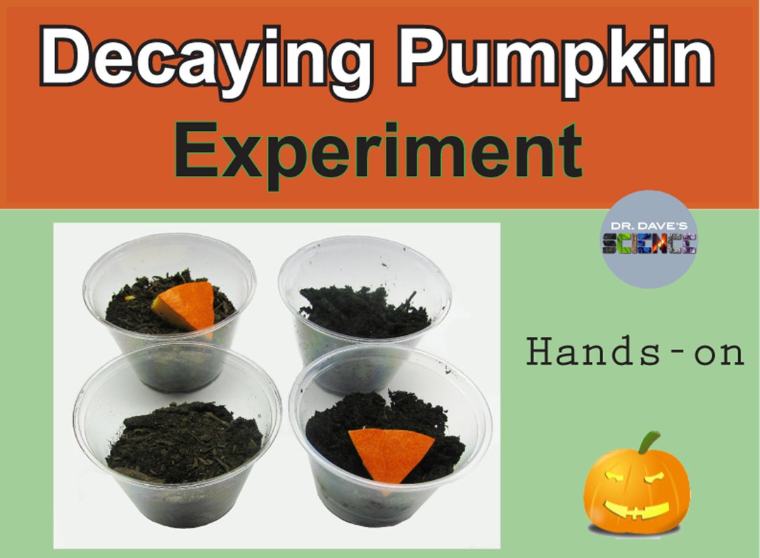 Pumpkin and Halloween Science - Etsy