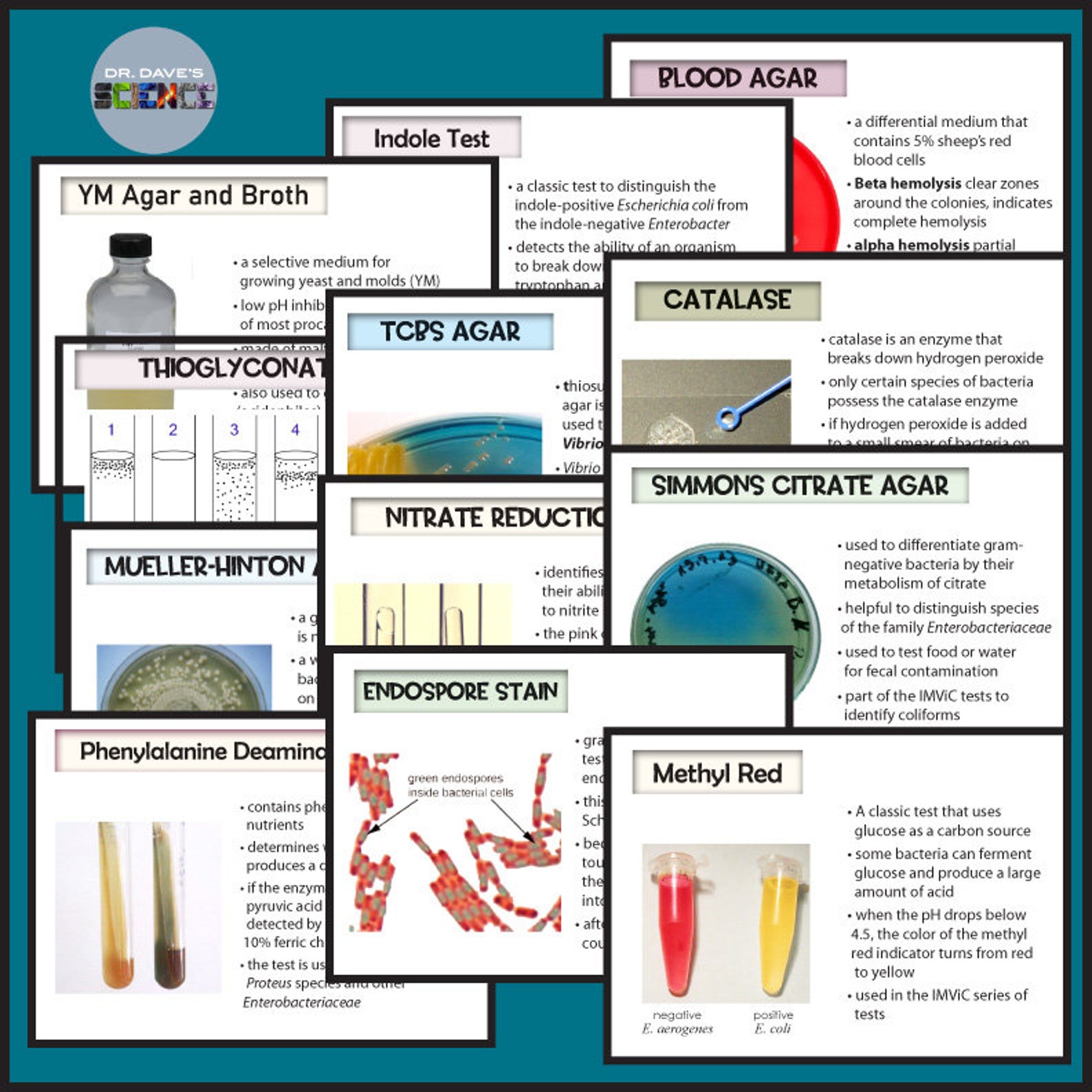 Microbiology Lab Study MLT/MLS ASCP Printable Review Cards Selective ...