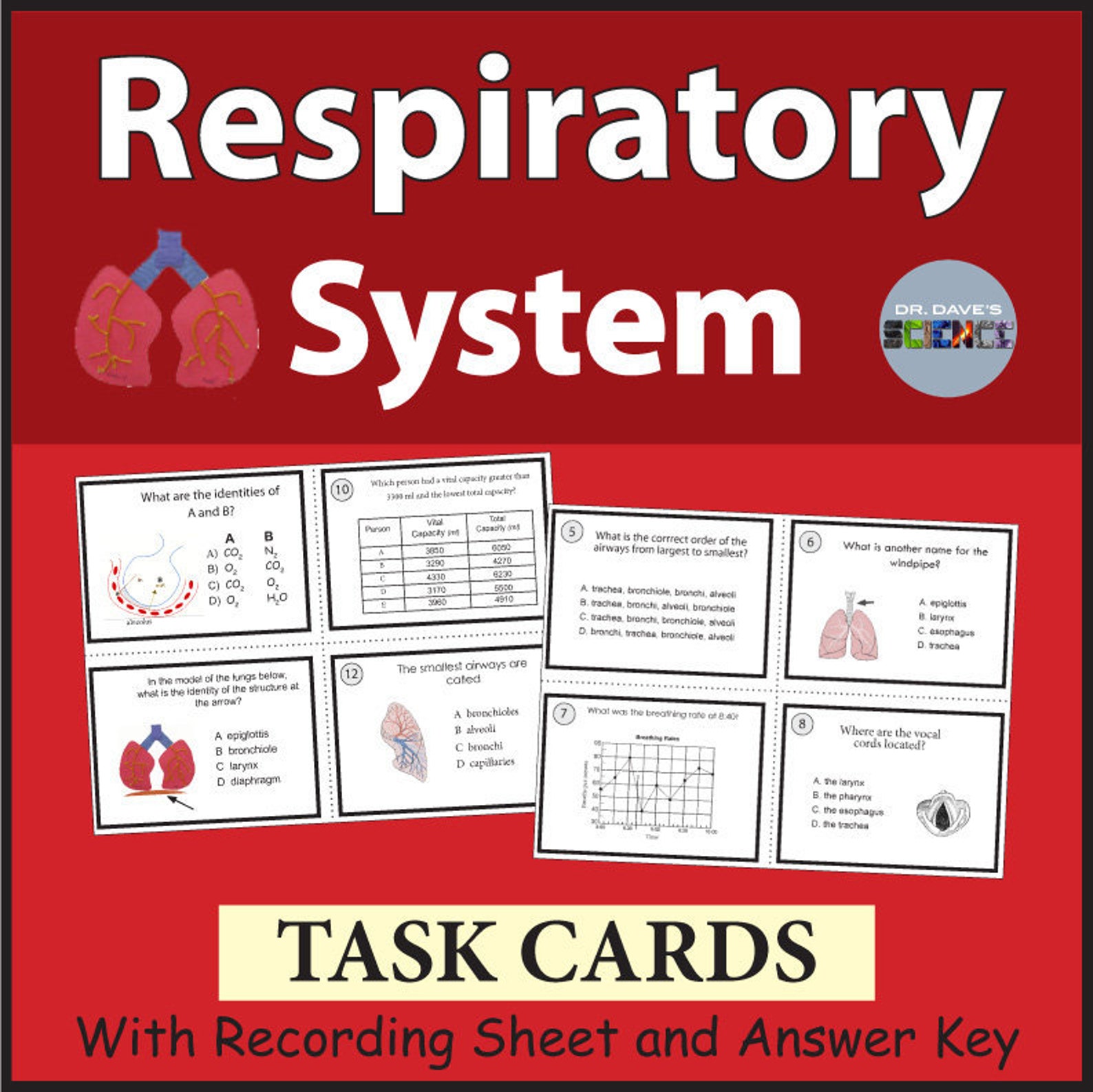 Respiratory System Task Cards, Human Body Systems, Lungs Anatomy - Etsy