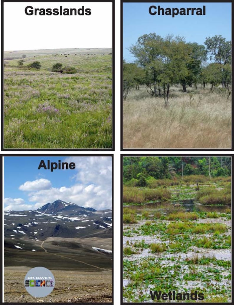 Biome and Ecology Posters Digital Science Prints Environment - Etsy