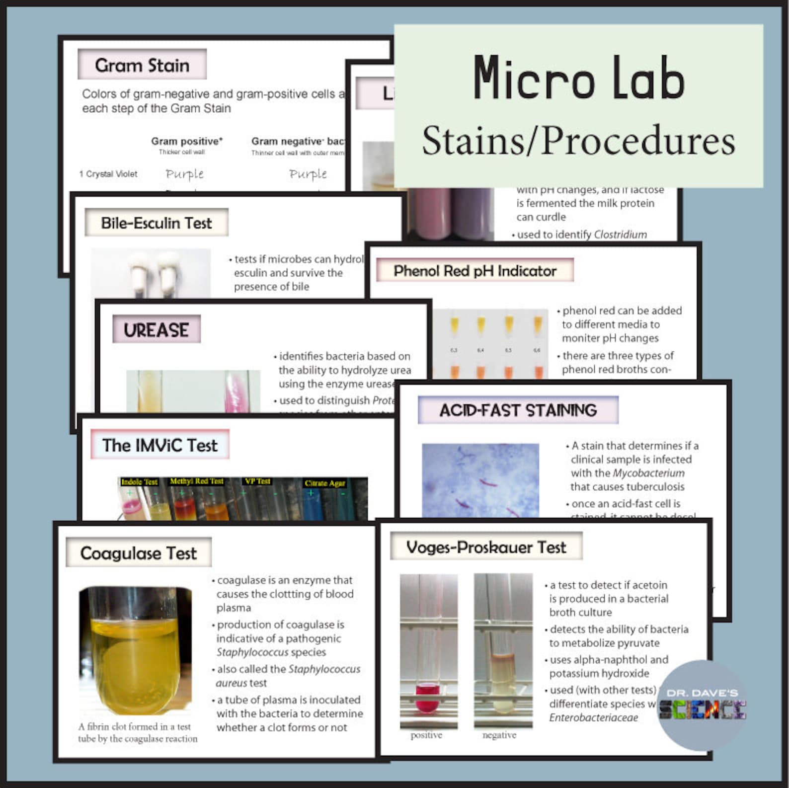 Microbiology Lab Study MLT/MLS ASCP Printable Review Cards Selective ...