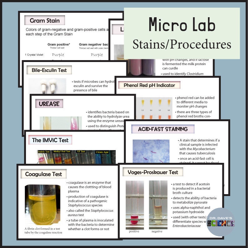 Microbiology Lab Study MLT/MLS ASCP Printable Review Cards Selective ...