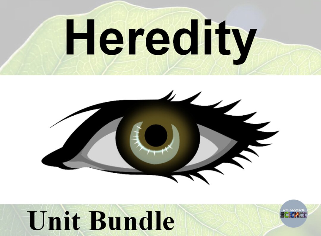 Genetics and Heredity Activity Packet - Etsy
