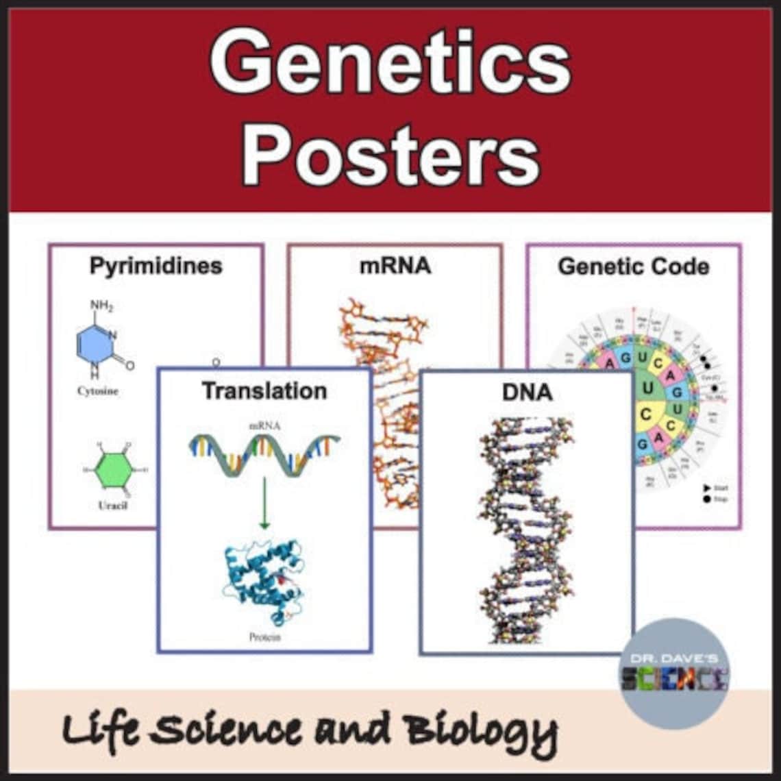 DNA and Genetics Posters - Etsy