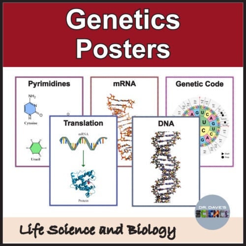 DNA and Genetics Posters - Etsy