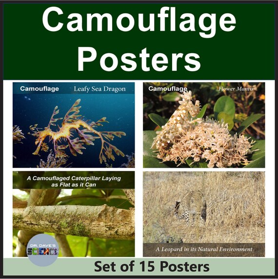 Camouflage Science Posters - Etsy