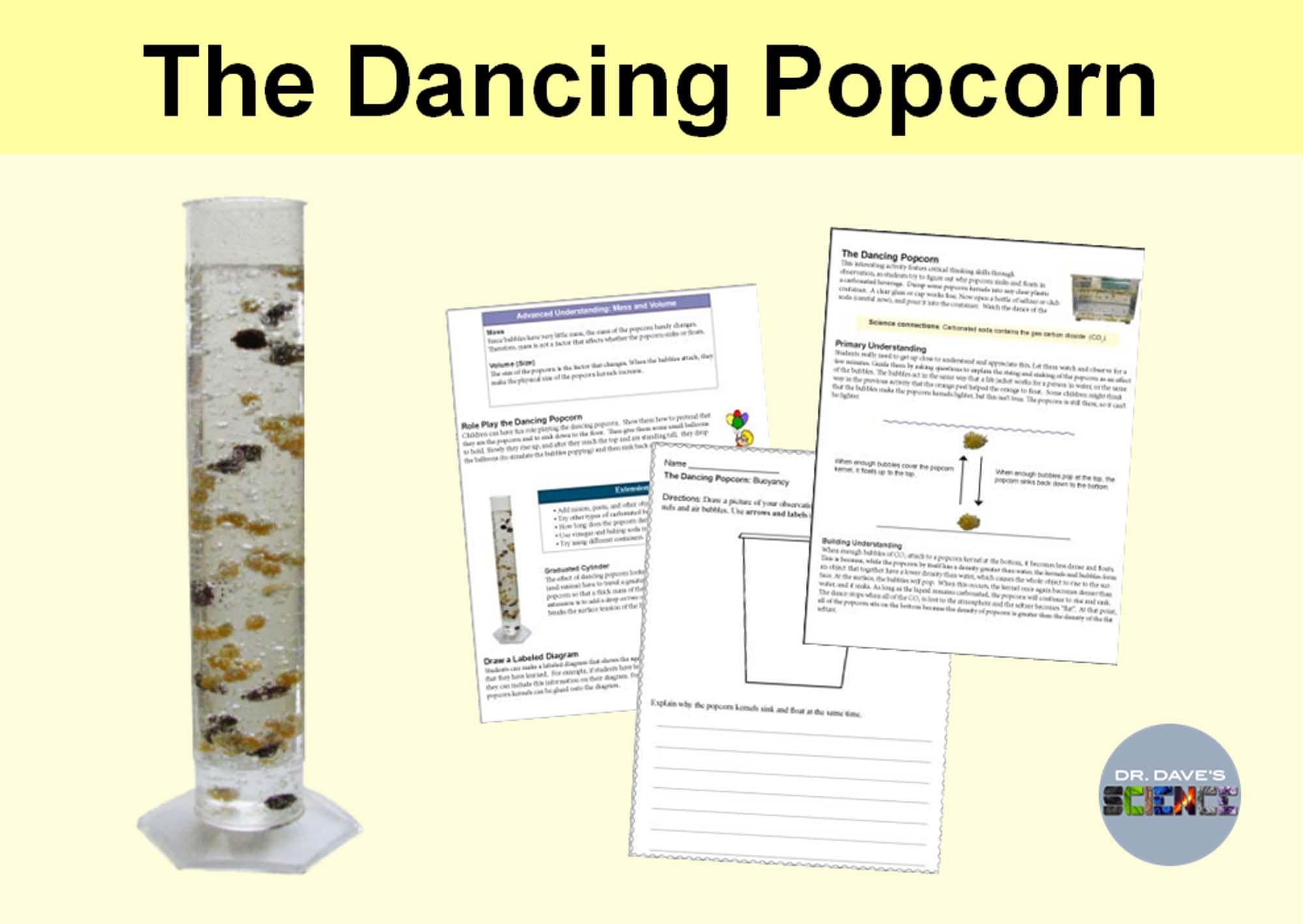 Sink or Float Activity the Dancing Popcorn Raisin - Etsy