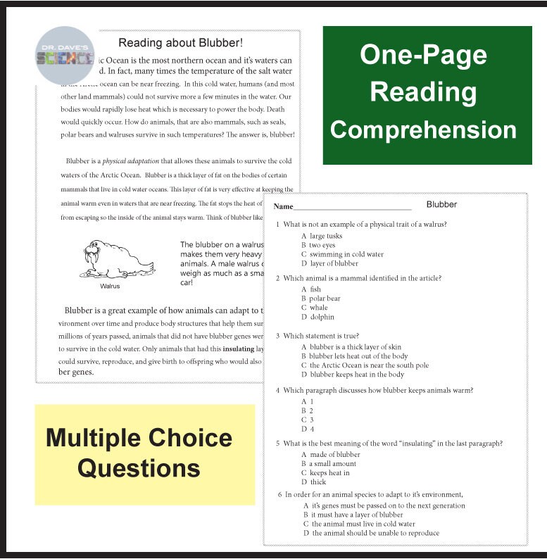 Blubber Experiment Reading Comprehension Arctic Animal Adaptations - Etsy