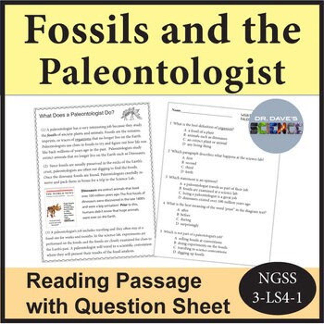Fossils and Paleontologist Reading Comprehension - Etsy