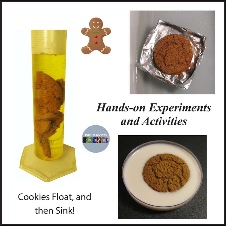 Gingerbread and Gingersnap Christmas Science Activities Science ...