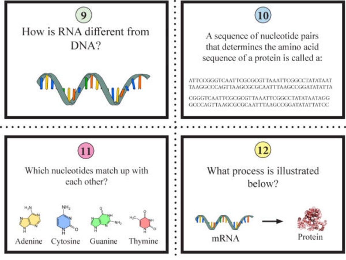 Genetics and Heredity Task Cards DNA Structure and DNA Replication - Etsy