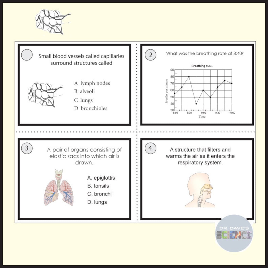 Respiratory System Task Cards, Human Body Systems, Lungs Anatomy - Etsy