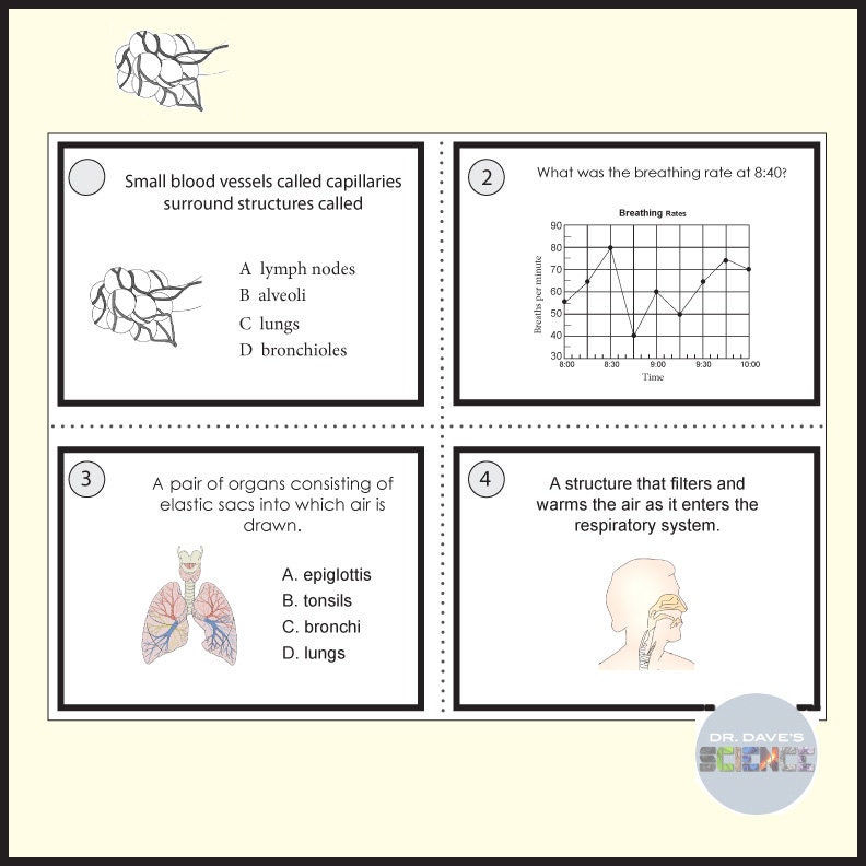 Respiratory System Task Cards, Human Body Systems, Lungs Anatomy - Etsy