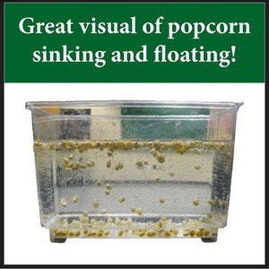 Sink or Float Activity the Dancing Popcorn Raisin - Etsy
