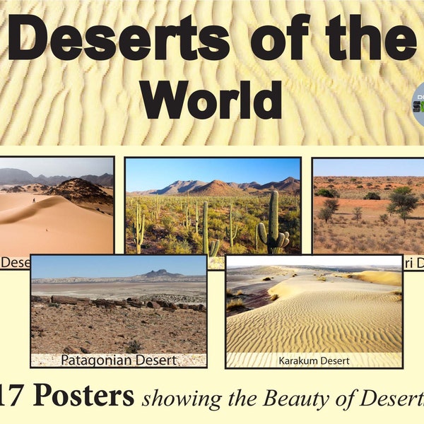 Biomes Posters - Etsy