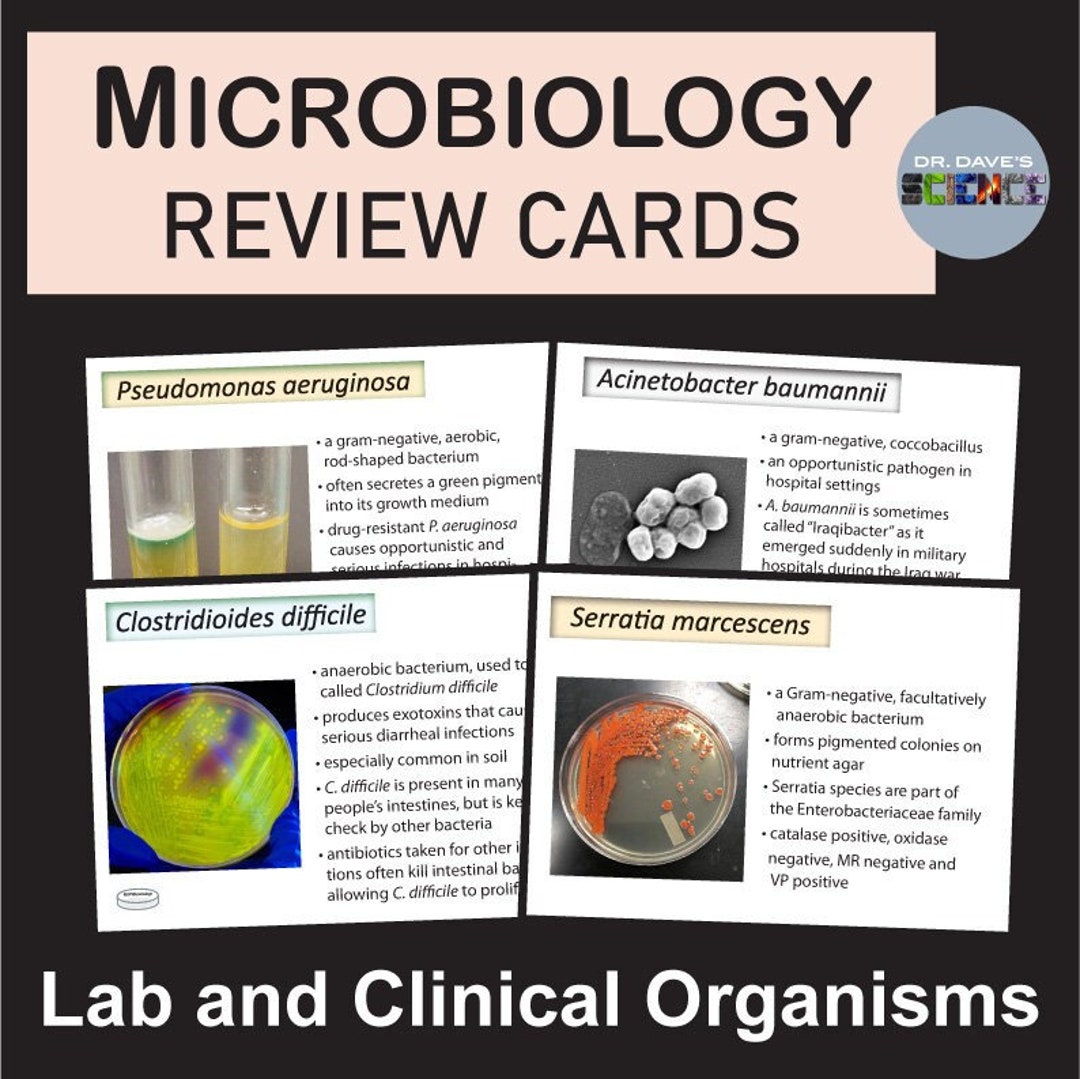 Microbiology Lab Study Guide Cards MLT MLS ASPC Exam Prep Bacteria ... Microbiology Lab Study Guide Cards MLT MLS ASPC Exam Prep Bacteria ...