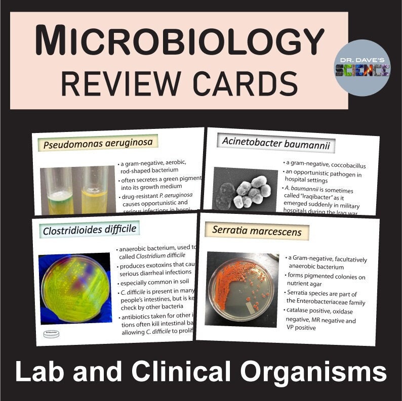 Microbiology Lab Study Guide Printable Cards MLT MLS ASPC Exam Prep ...