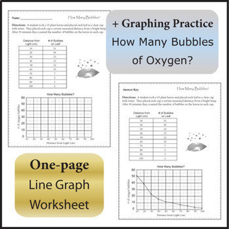 Photosynthesis Reading Comprehension - Etsy