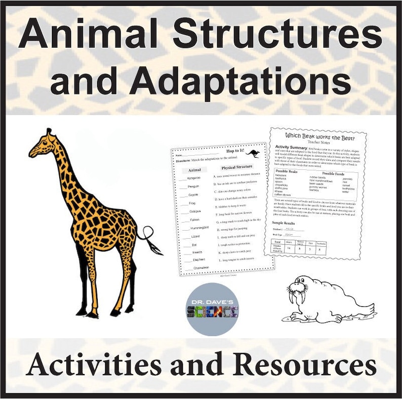 Animal Structures Adaptations Activities and Resources 4th Grade NGSS ...
