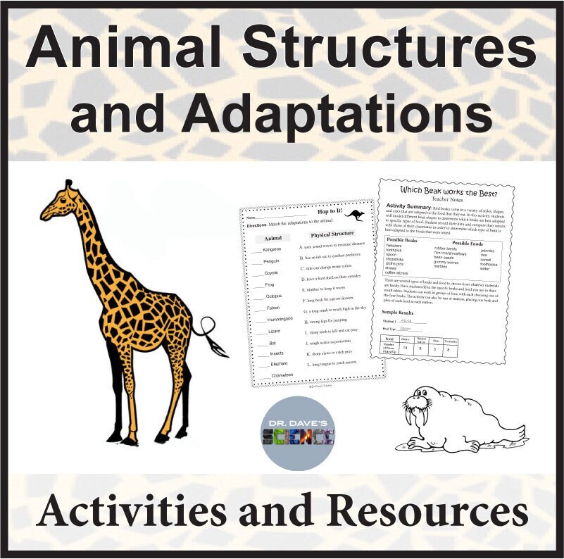 Animal Structures Adaptations Activities and Resources 4th Grade NGSS ...