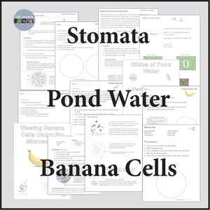 Microscope Slide Lab Activity Bundle Onion Cheek Cells Stomata Pollen ...