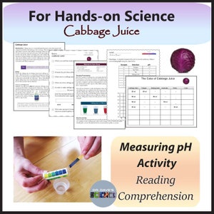 Acids Bases and Ph Scale Lab Activities Reading Comprehension ...
