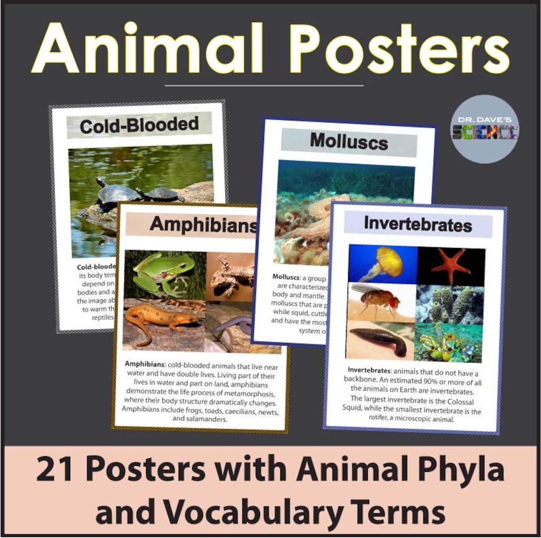 Animal Phyla Posters Science Classroom Decor Bulletin Board Vertebrates ...