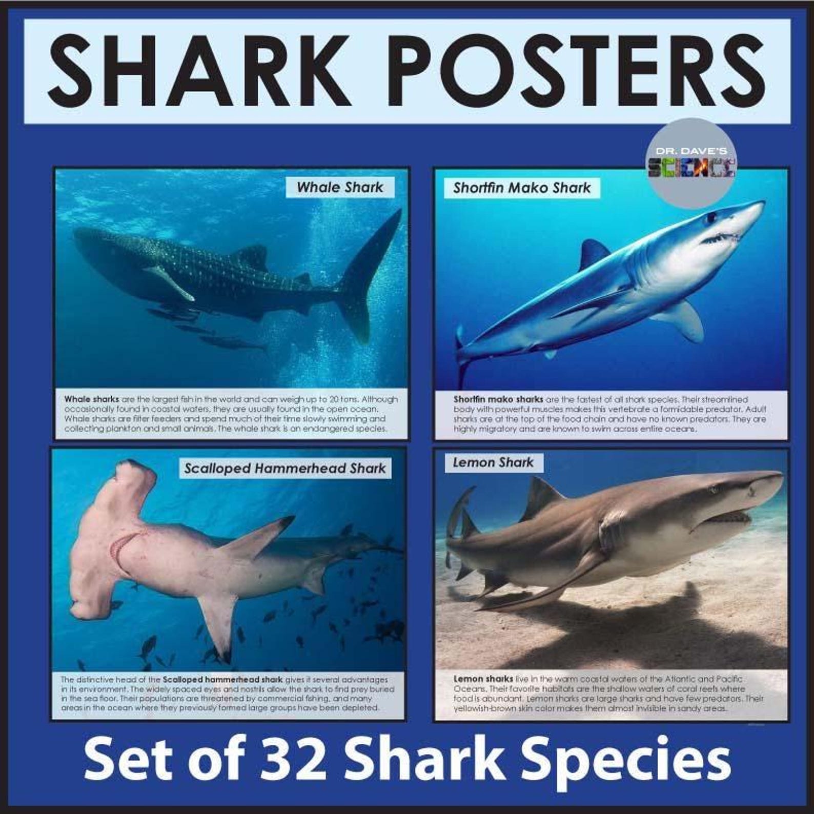 Shark Posters Set of Printable Digital Download Bulletin Board Species ...