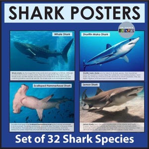 Shark Posters Set of Printable Digital Download Bulletin Board Species ...